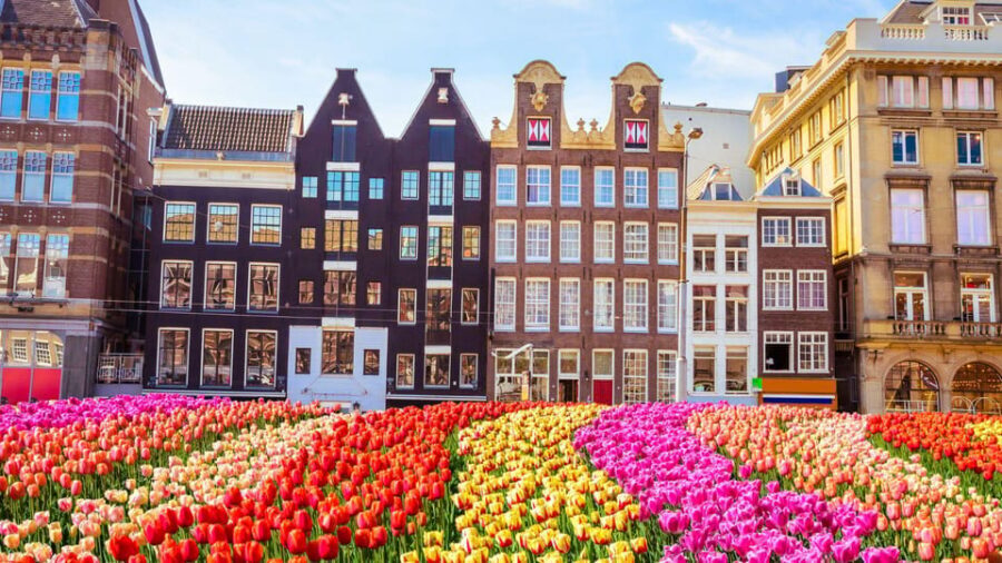 Best of Amsterdam: Private Walking Tour with a Local - Why This Tour Might Be Just Right for You