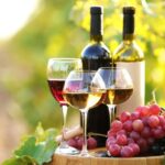 Best of Rhodes Tour including Lindos and Medieval City - Practical Details: What’s Included and What’s Not