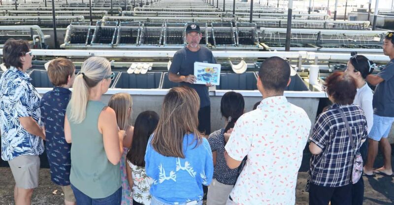 Big Island: Abalone Farm Guided Tour with Tasting - Big Island: Abalone Farm Guided Tour with Tasting — A Close-Up on Hawaii’s Unique Seafood