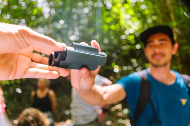 Big Island: Native Bird Watching & Hiking Tour - Big Island: Native Bird Watching & Hiking Tour – A Deep Dive into Hawaii’s Endemic Wildlife