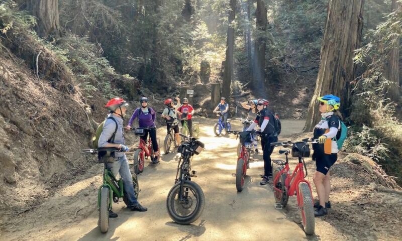 Big Sur's Old Coast Road E-Bike Tour - An In-Depth Look at the Big Sur’s Old Coast Road E-Bike Tour