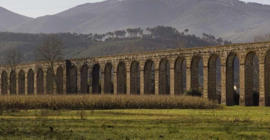 Bike Self-Tour in the Lucca Countryside and Green Landscapes - Why This Tour Offers Great Value