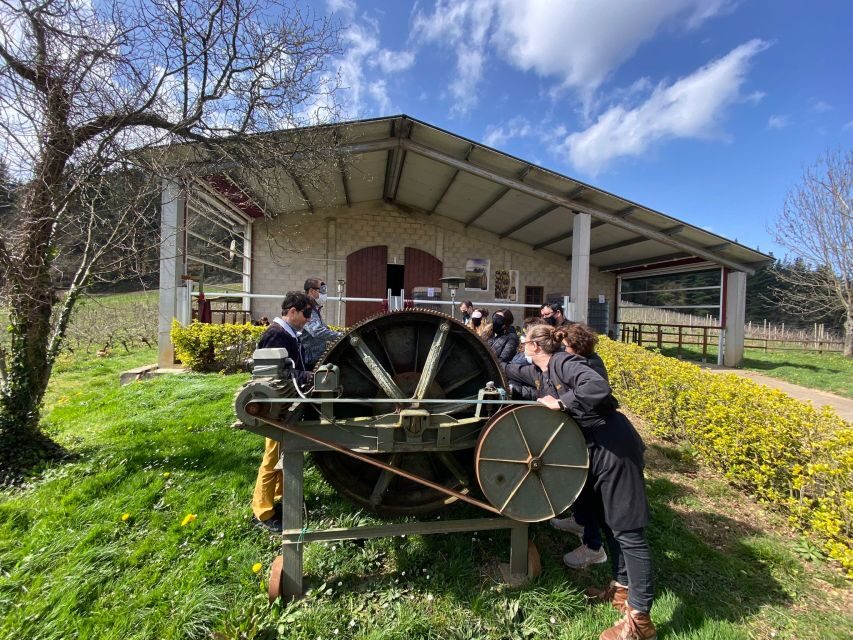 Bilbao: Guided Txacoli Wine Tasting - What Travelers Are Saying