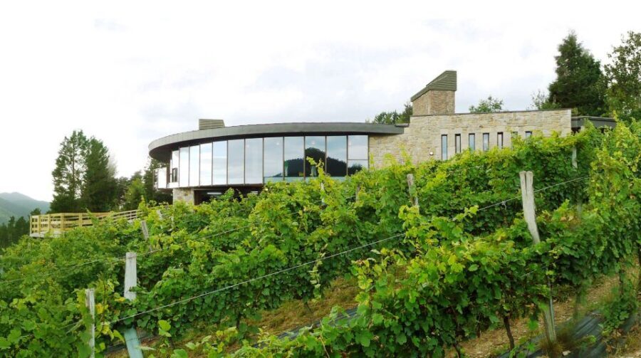 Bilbao: Organic Winery Visit with Tasting - Who Will Enjoy This Tour?
