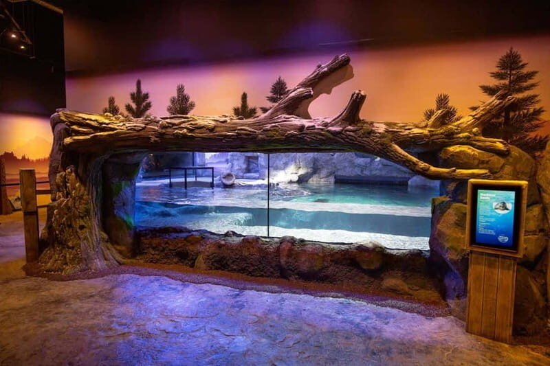 Birmingham: National Sea Life Centre Entrance Ticket - Who Will Love the Birmingham Sea Life Centre?