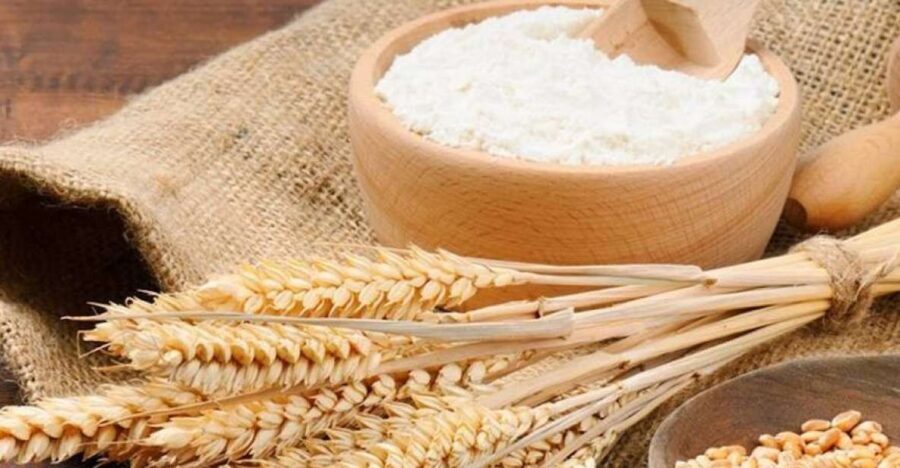 Bisacquino: Grandpa Mommo's Mill Tour - Practical Details and Tips