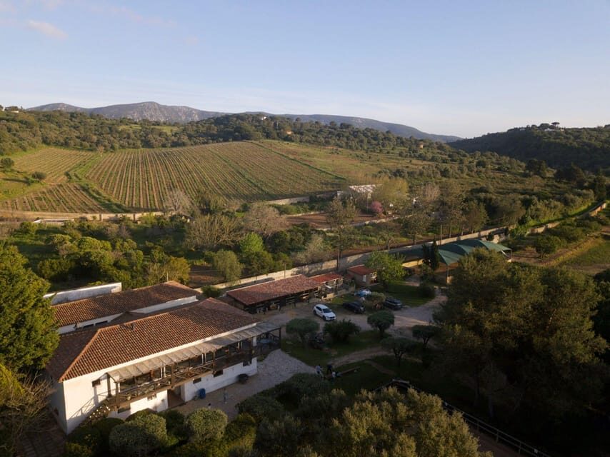 Blind Wine Tasting - The Scenic and Culinary Highlights