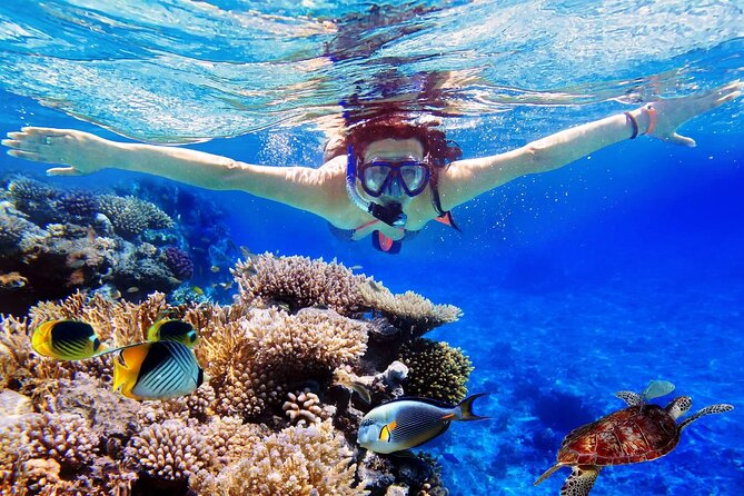 Blue Lagoon & Tanjung Jepun Snorkeling Private Tour - Key Points