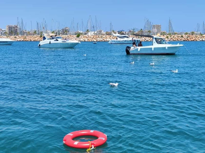 Boat trip and swimming in the sea - Booking details and practicalities
