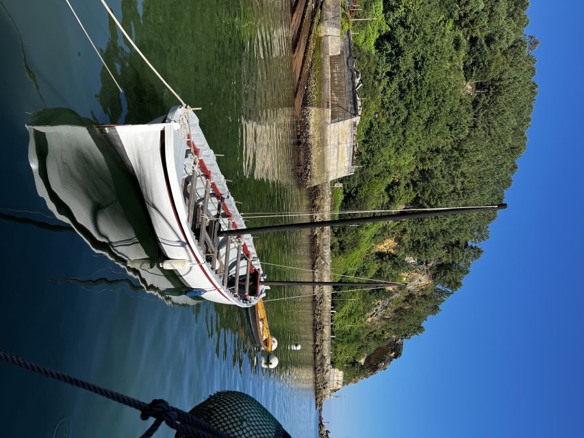 Boat trip from Donostia San Sebastián to Albaola Museum - The Experience: A Detailed Look at the Boat Trip