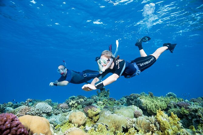 Boat Trip with Snorkel - Key Points
