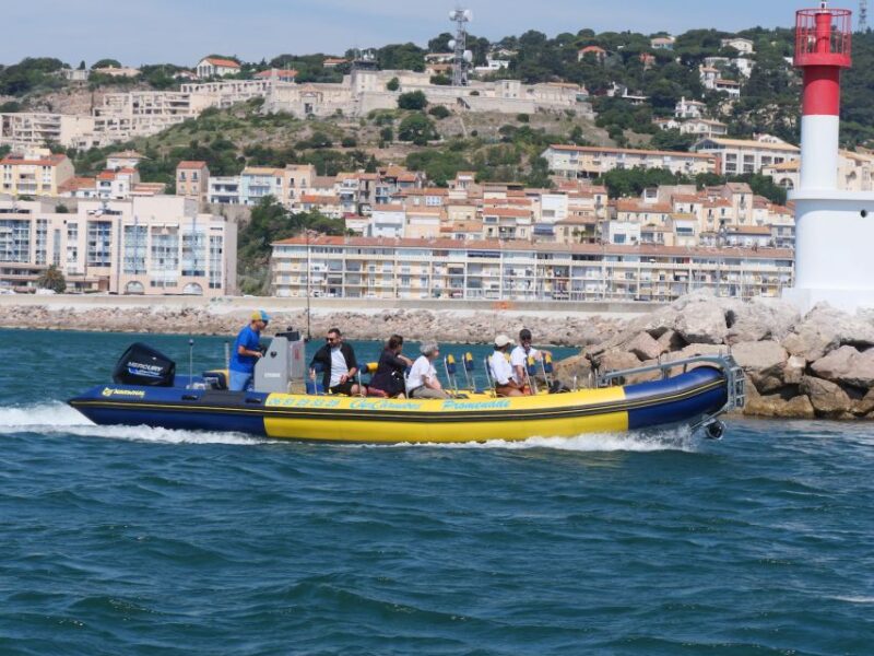 Boat walk in Sete on the singular island 1 hour - Key Points