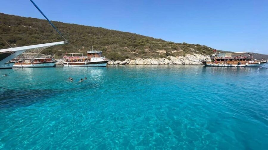 Bodrum Aquarium Bay Tour with Lunch & Swimming Stops - Who Might Want to Skip It
