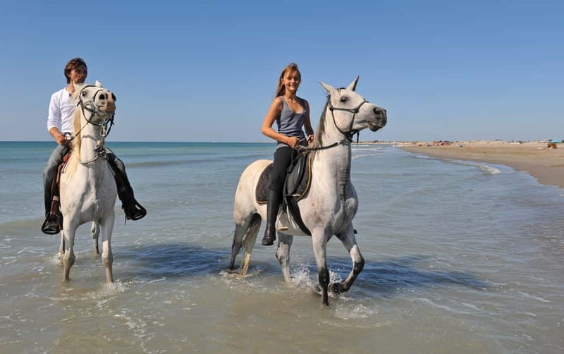 Bodrum: Horseback Riding Experience - The True Value of This Experience