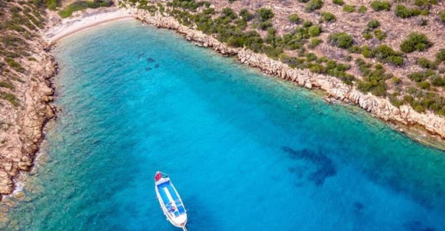 Bodrum Orak Island Boat Cruise with Lunch and Swimming - What to Expect on the Boat