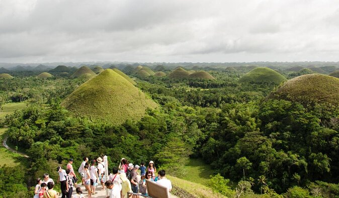 Bohol Day Tour with Round-Trip Transfers from Cebu - Bohol Day Tour with Round-Trip Transfers from Cebu: An In-Depth Review