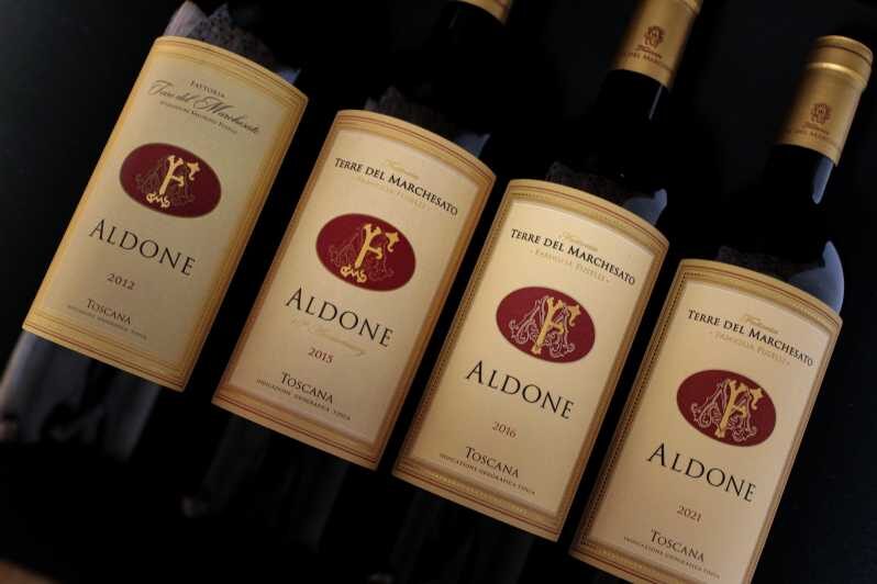 BOLGHERI: Vertical Wine-tasting at Terre del Marchesato - The Itinerary in Detail