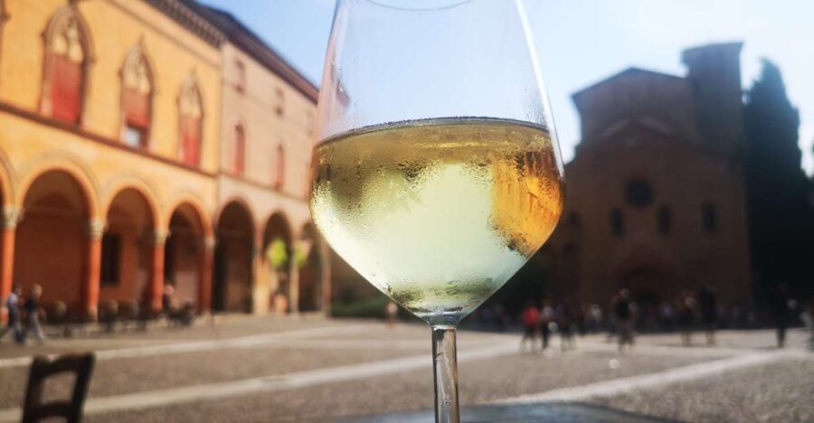 Bologna: City Center Guided Wine Walking Tour - Discovering the Bologna Wine Scene