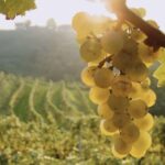 Bologna: E-Bike Guided Tour with Aperitivo - Tasting and Refreshing Aperitivo