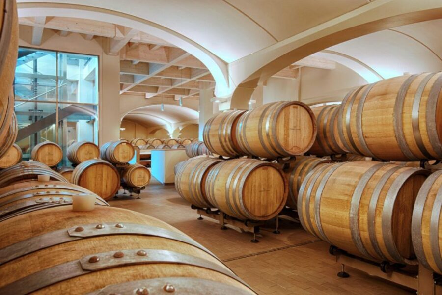 Bologna Vineyard Vista: a journey through Emilian wines - Authentic Experiences and What Sets It Apart