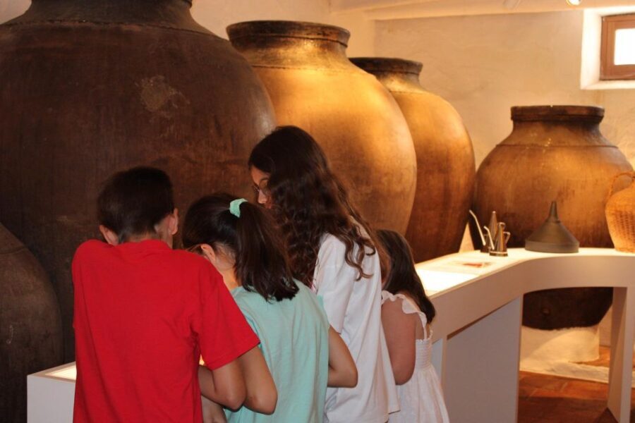 Borba: Winery and Amphora Wine Tour and Tasting - Exploring Borba’s Historic Winery