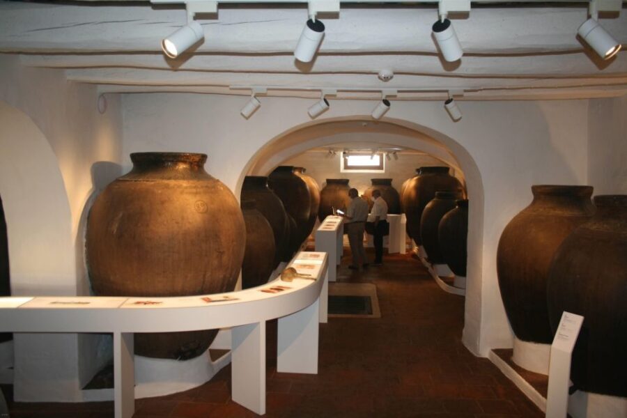 Borba: Winery Tour with Wine and Alentejo Products Tasting - Tasting and Local Delights