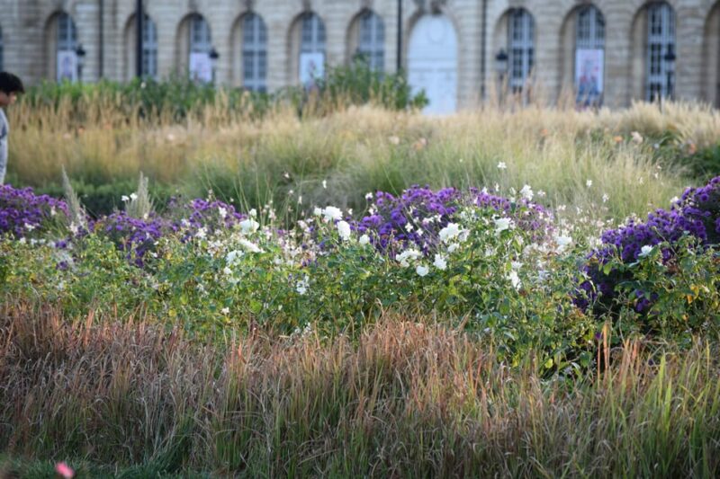 Bordeaux : see the whole city by bike - Key Points