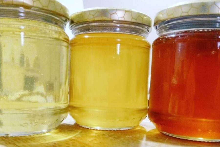 Bosa: discover the products of the beehive - What Makes This Experience Stand Out?