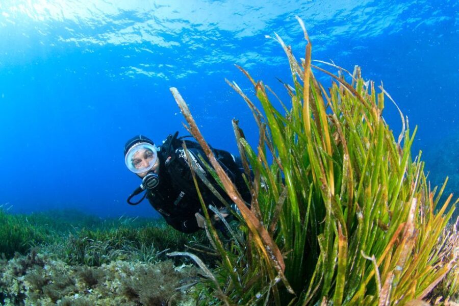 Bosa: Scuba Diving for Beginners in the Bosa Gulf - Breaking Down the Itinerary: What to Expect