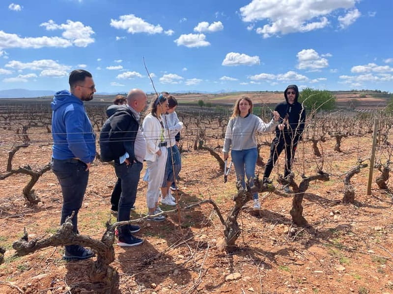 Boutique Rioja Wine Tour with Charming Lunch (From Bilbao) - Introduction