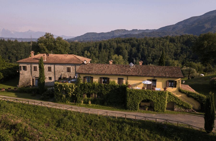 Boutique Winery Tour & Tasting in North Tuscany - Authentic Tales and Genuine Flavors