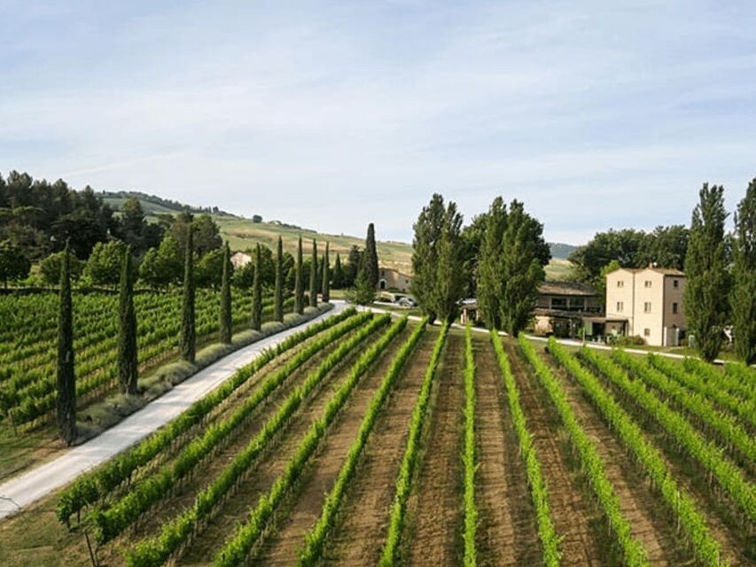 Boutique Winery Visit & 5 Organic Wine Tastings near Urbino - Analyzing the Value: Is It Worth It?