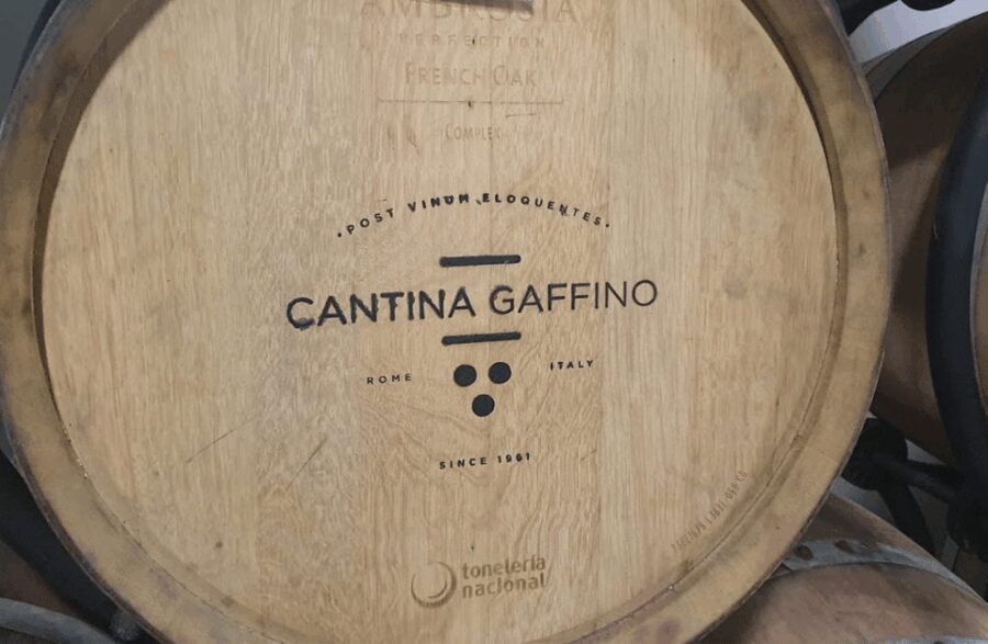 Boutique Winery Visit & Tasting near Rome - What Makes This Tour Stand Out