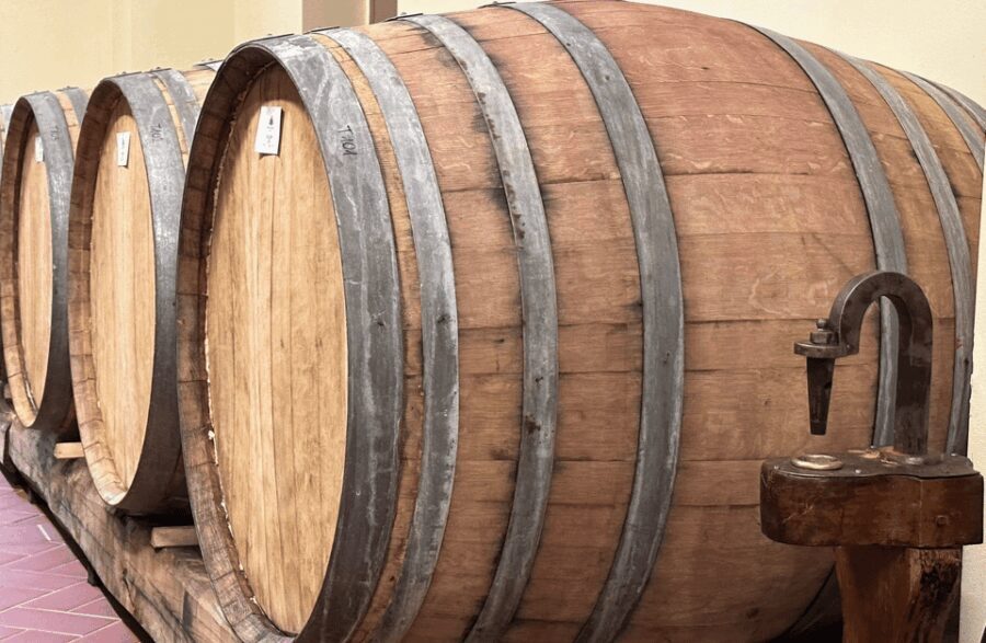 Boutique Winery Visit & Wine Tasting near Arezzo - Practical Details and What You Should Know