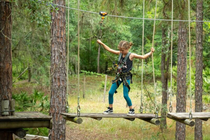 Bradenton: Adventure Course Entry Ticket - Key Points