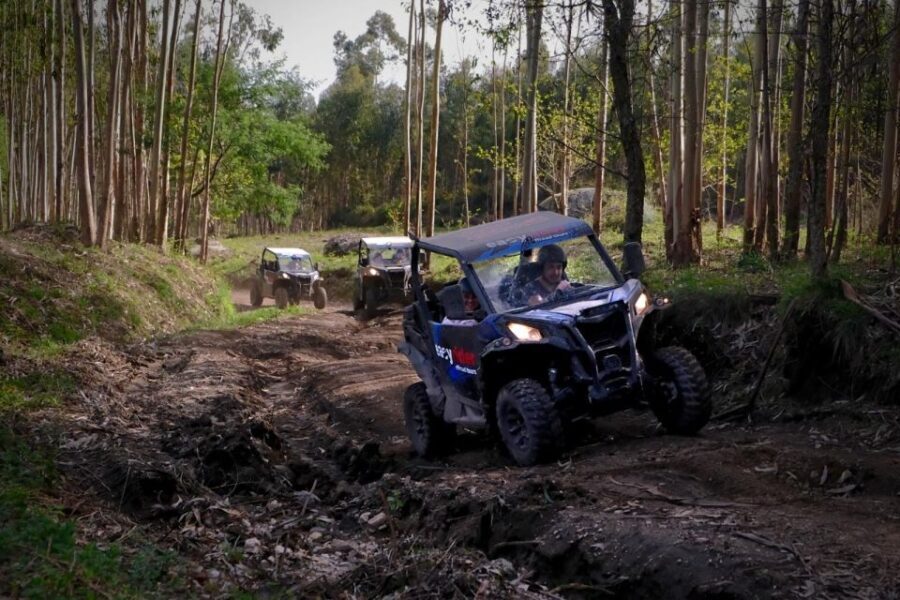 Braga: off-road buggy tour - Who Should Consider This Tour?