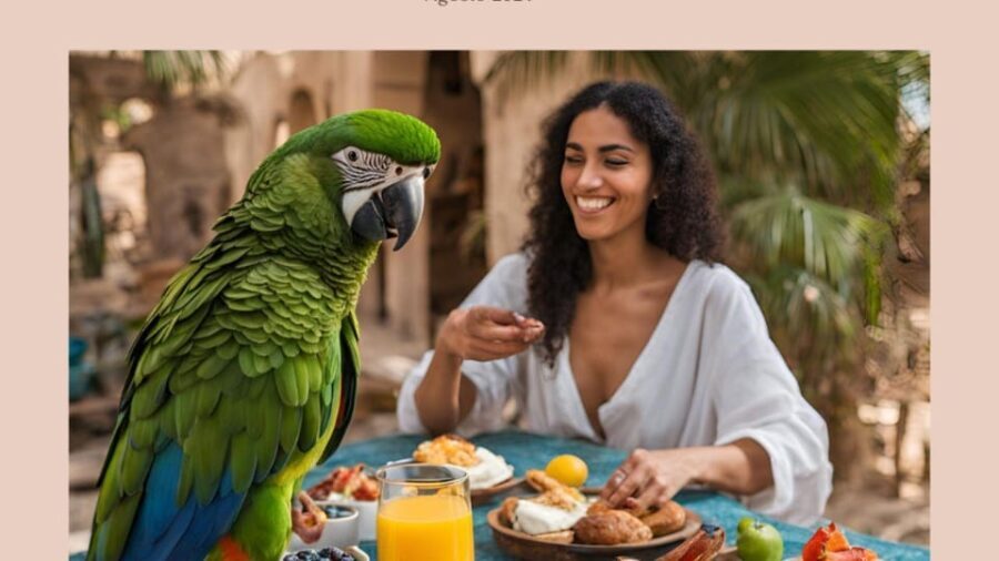 Breakfast with Parrots at Masseria mazzetta with wildlife park - What You Can Expect from This Experience