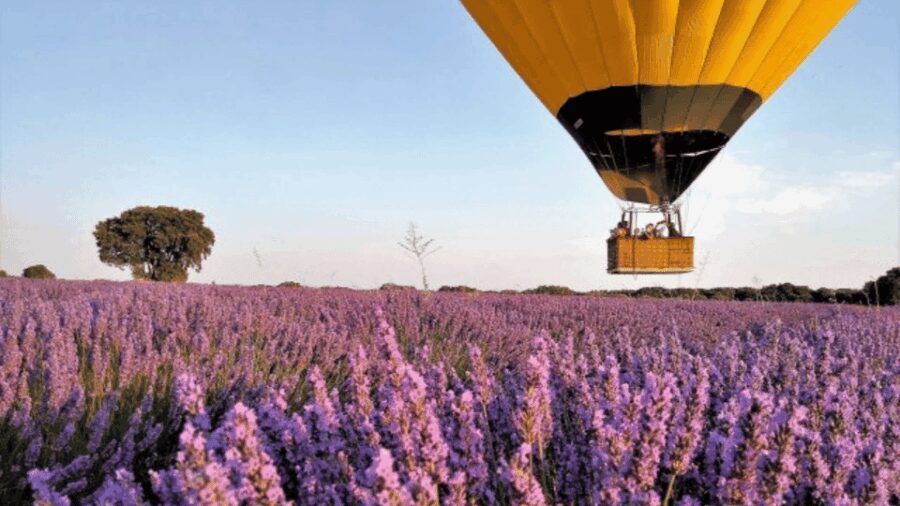 Brihuega: Balloon Flight Above Lavender Fields - What to Expect: A Step-by-Step Breakdown