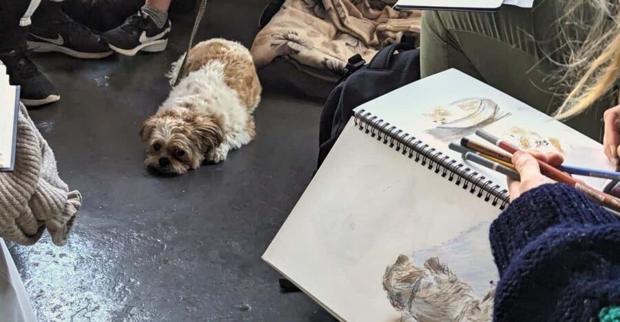 Bristol: Dog Life Drawing led by local Artist Cai Burton - The Setting and the Group Dynamic