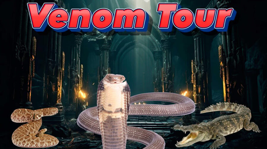 Bristol: Venomous Snake Tour with Reptile Photo - Why Choose This Tour?