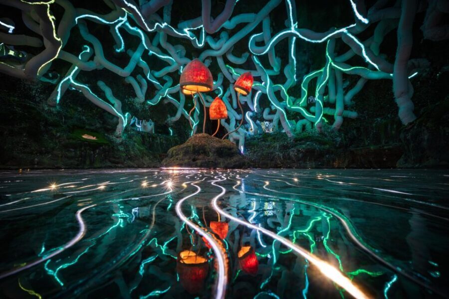Bristol: Wake The Tiger Amazement Park Entry Ticket - The Dream Factory: Surreal Art and Interactive Exhibits