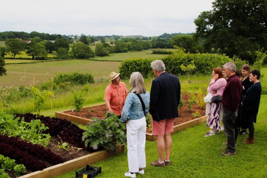 Bristol: Wine & Cheese in the Cheddar Valley - The Itinerary in Detail: What to Expect