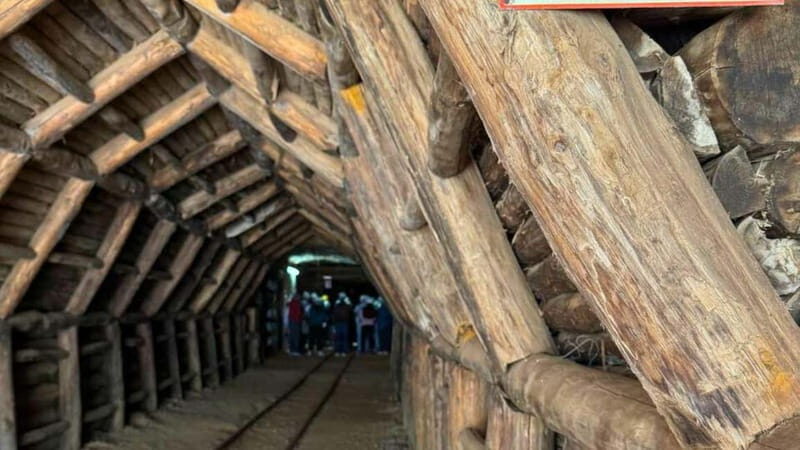 Buggerru: visit of the Galleria Henry tunnel - Who Should Consider This Tour?