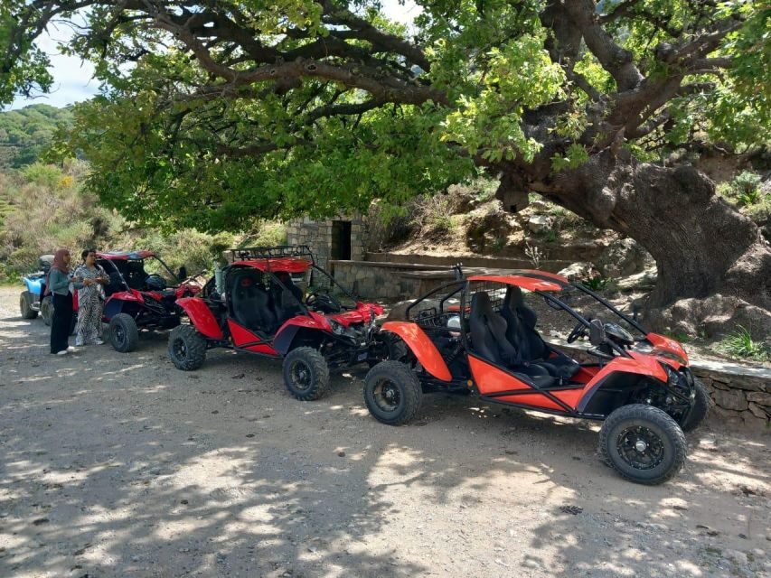 buggy safari half day 4 hours 4 hours ( hersonissos -Malia) - Final Thoughts: Who Should Consider This Experience?