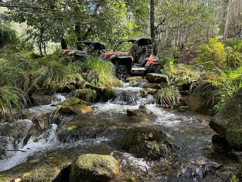 Buggy tour 90 minutes - The Itinerary: What to Expect on the Tour