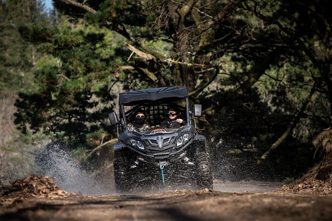 Buggy Tour in Serra da Lousã 2Hours - Key Points