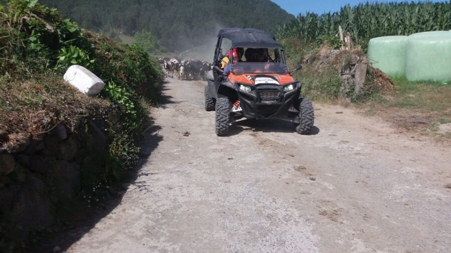 Buggy|Quad|Jeep Coast to Coast Tour (Ribeira Grande) off 4x4 - Final Thoughts: Is It Worth It?