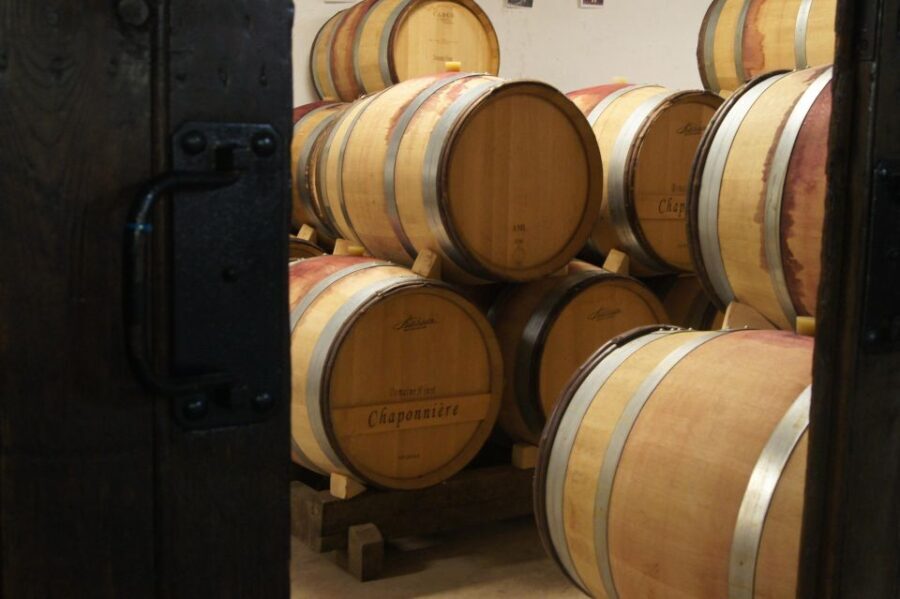 Burgundy: Guided Vineyard and Winery Tour with Wine Tasting - The Practicalities: Worthwhile and Well-Organized