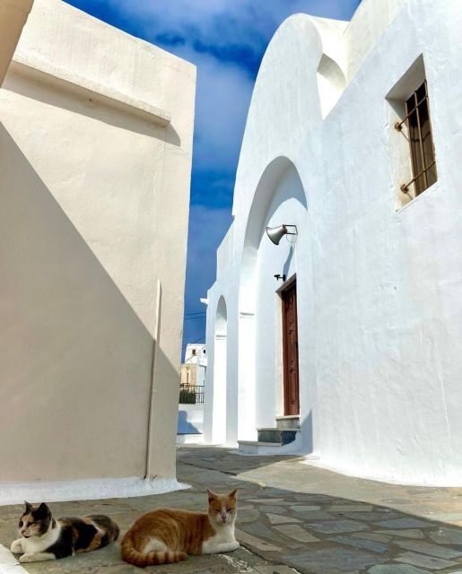 Bus Tour Around the island of Naxos - What’s Included and What’s Not