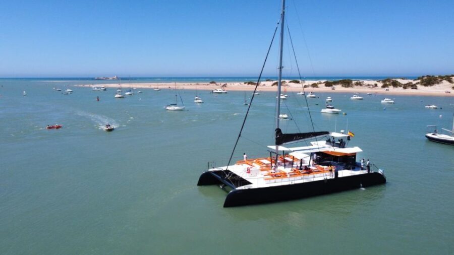 Cadiz: Bay of Cadiz Catamaran Tour with Host - The Highlights of the Tour